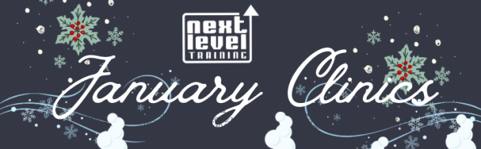 Home - Next Level Training